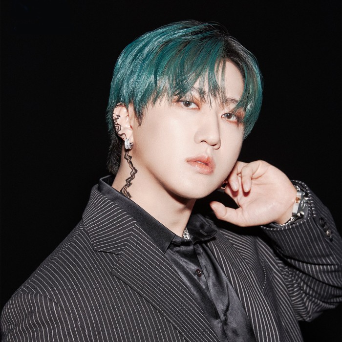 Changbin (Stray Kids) Profile: Age, Height, Weight, MBTI, Birthday ...