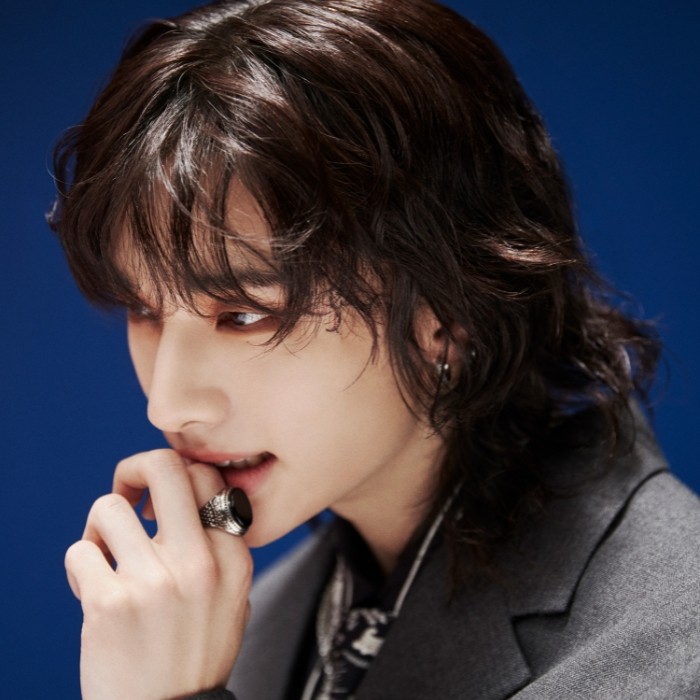 Felix (Stray Kids) Profile: Age, Height, Weight, MBTI, Birthday - Idol ...