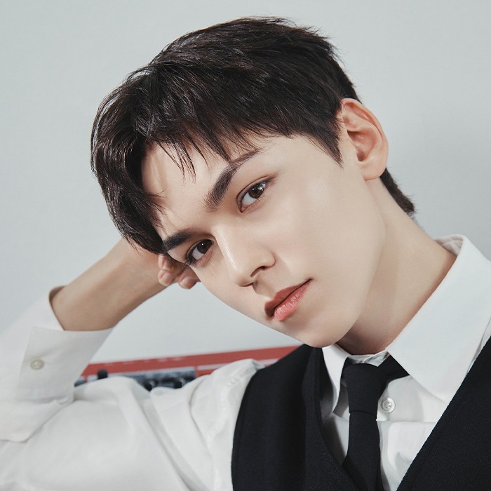 Joshua (SEVENTEEN) Profile: Age, Height, Weight, MBTI, Birthday - Idol ...