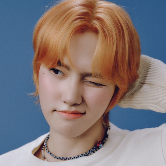 Steven (AHOF) Profile: Age, Height, Weight, MBTI, Birthday - Idol Sight